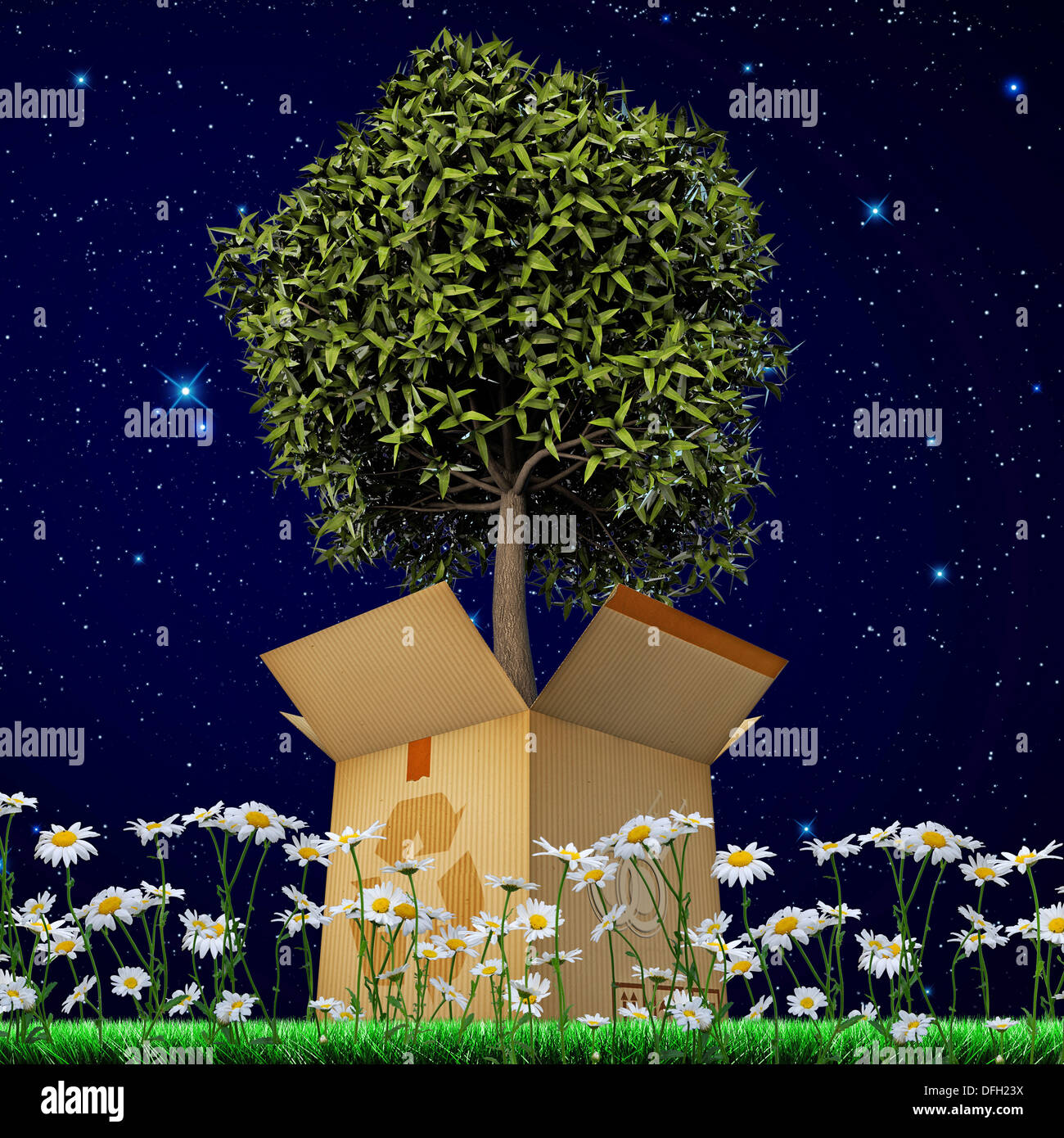 green tree in a box on green grass Stock Photo - Alamy
