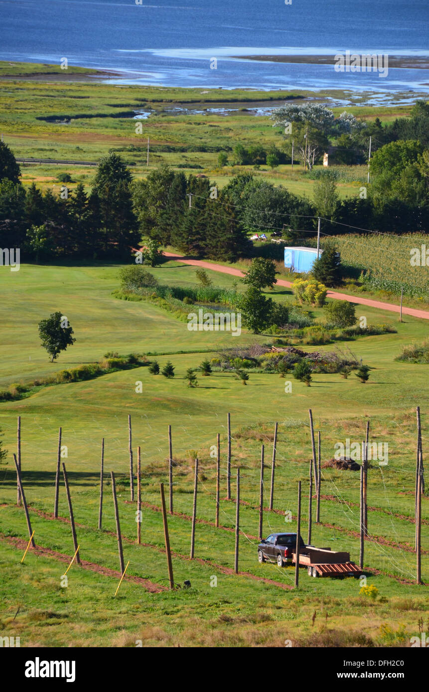 Green landscape of a country hillside with a farming truck, dirt road ...