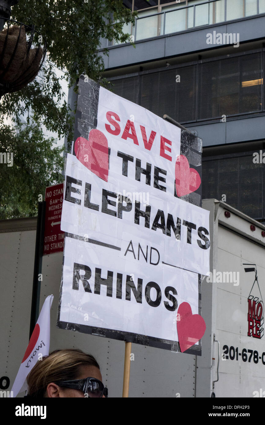 Stop killing rhino protest hi-res stock photography and images - Alamy