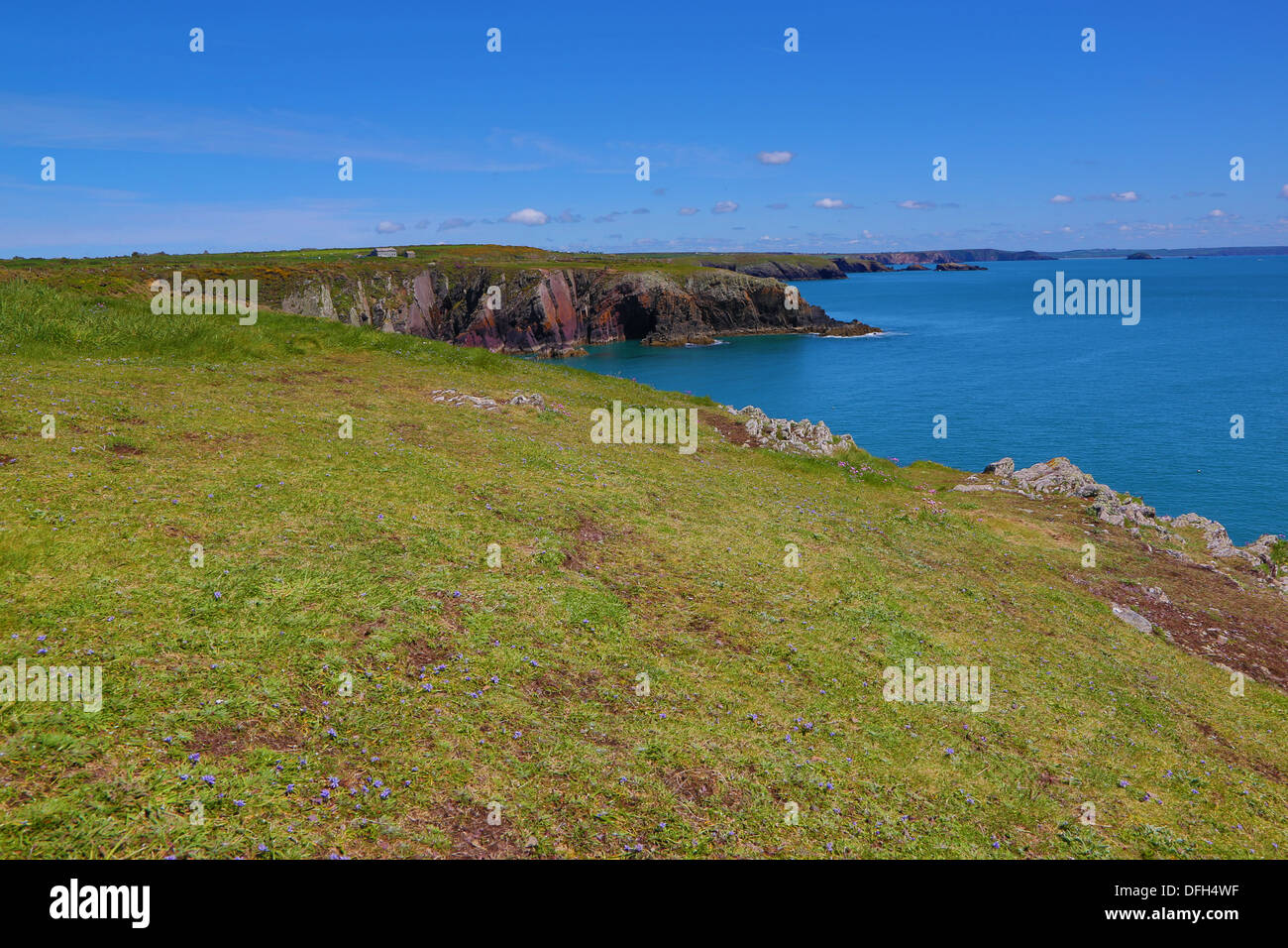 Cornish coastal view with azure sea on Summer's day Stock Photo - Alamy