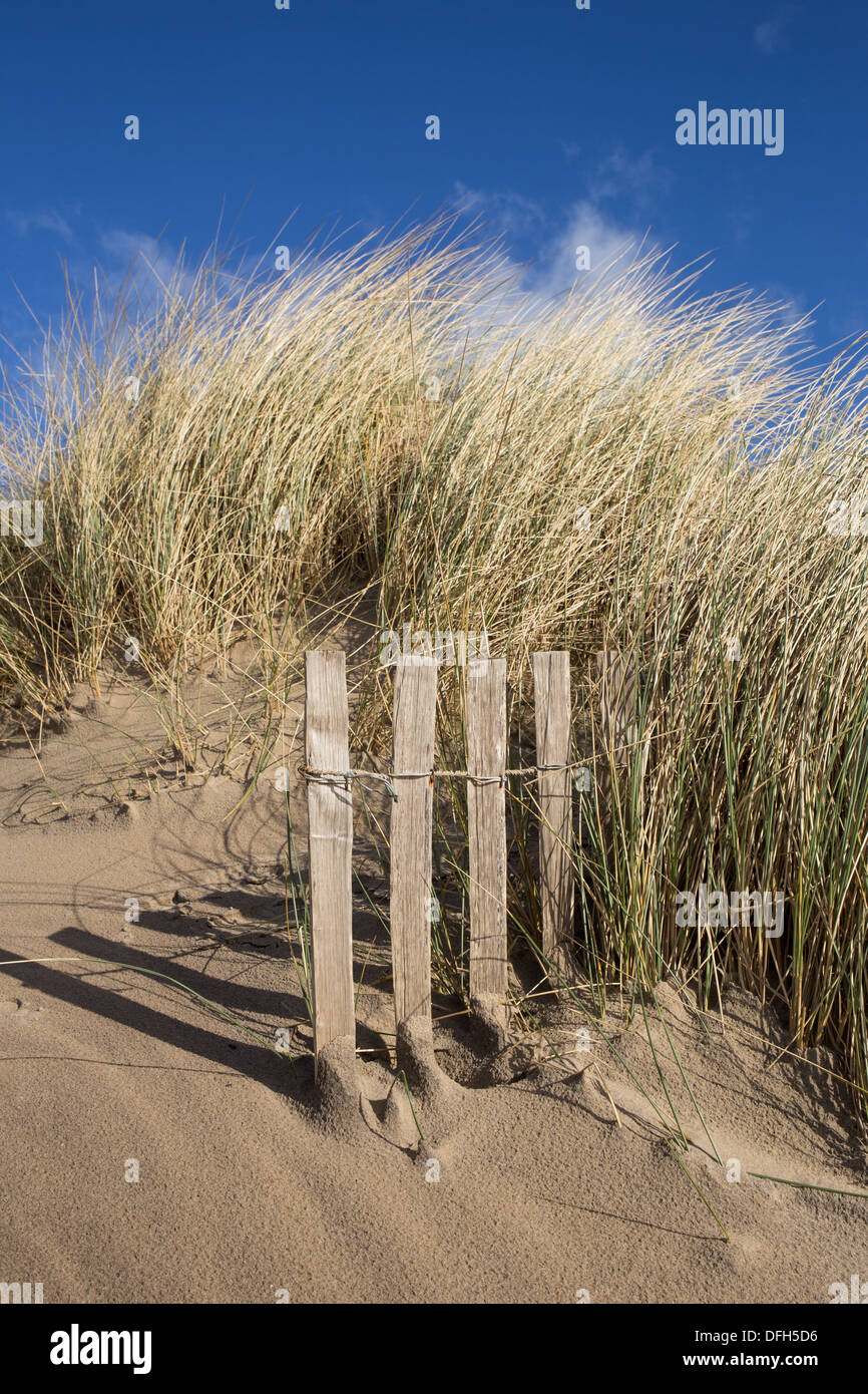 Preservation fence on sand dunes Stock Photo - Alamy