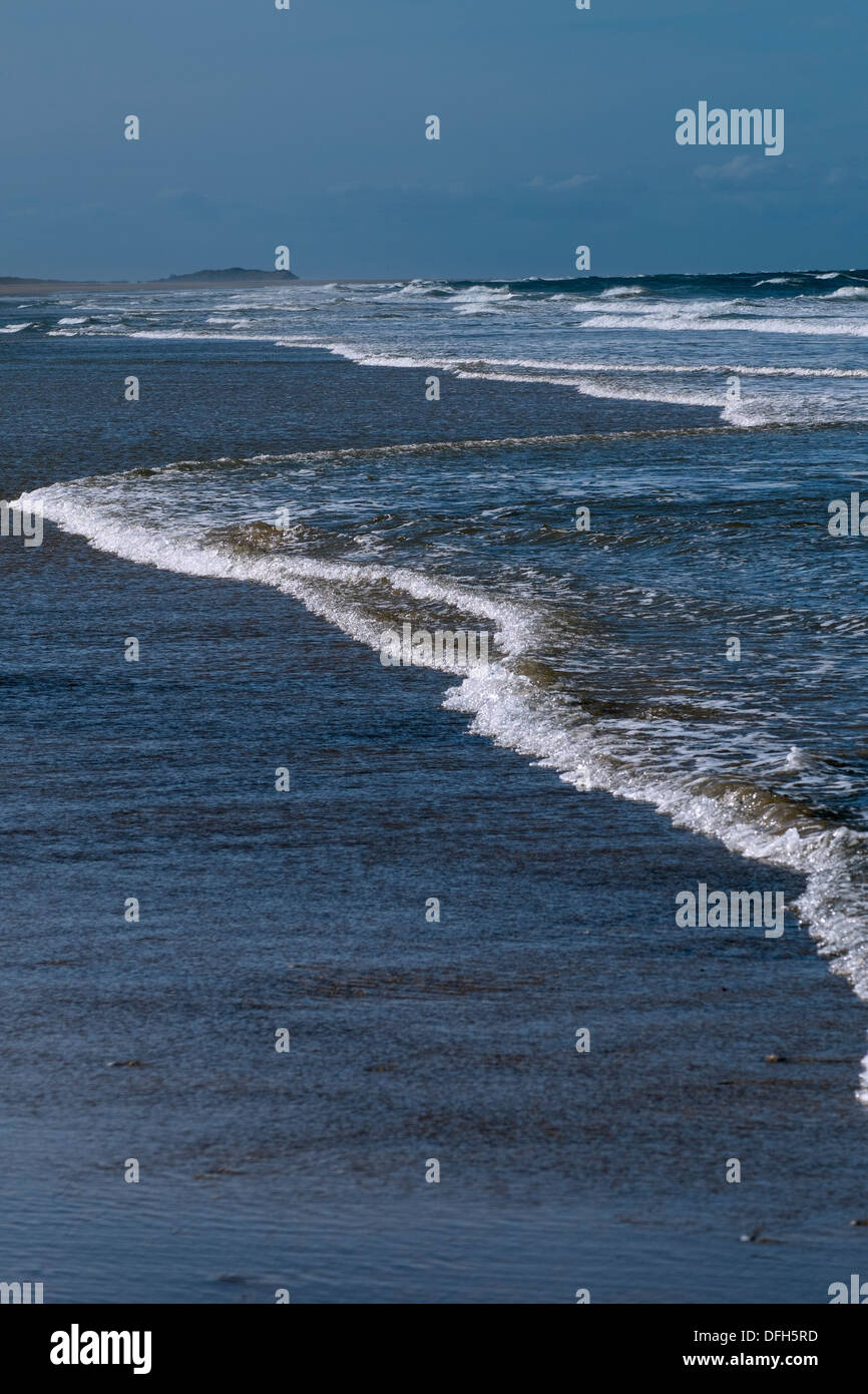 Tide line on a deserted beach Stock Photo - Alamy