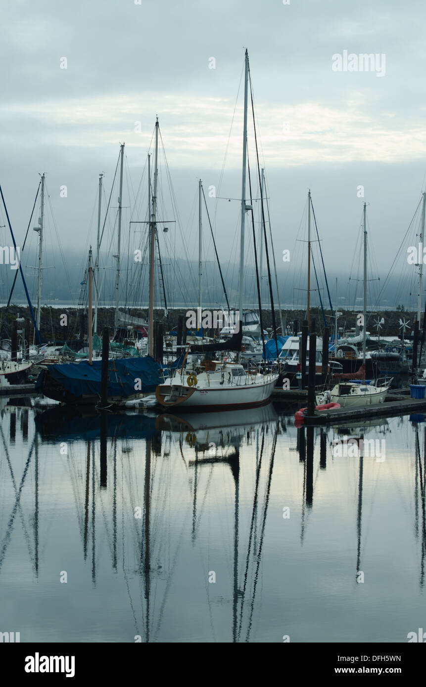Sail Boats In The Fog, John Wayne, John Wayne Marina Stock Photo - Alamy