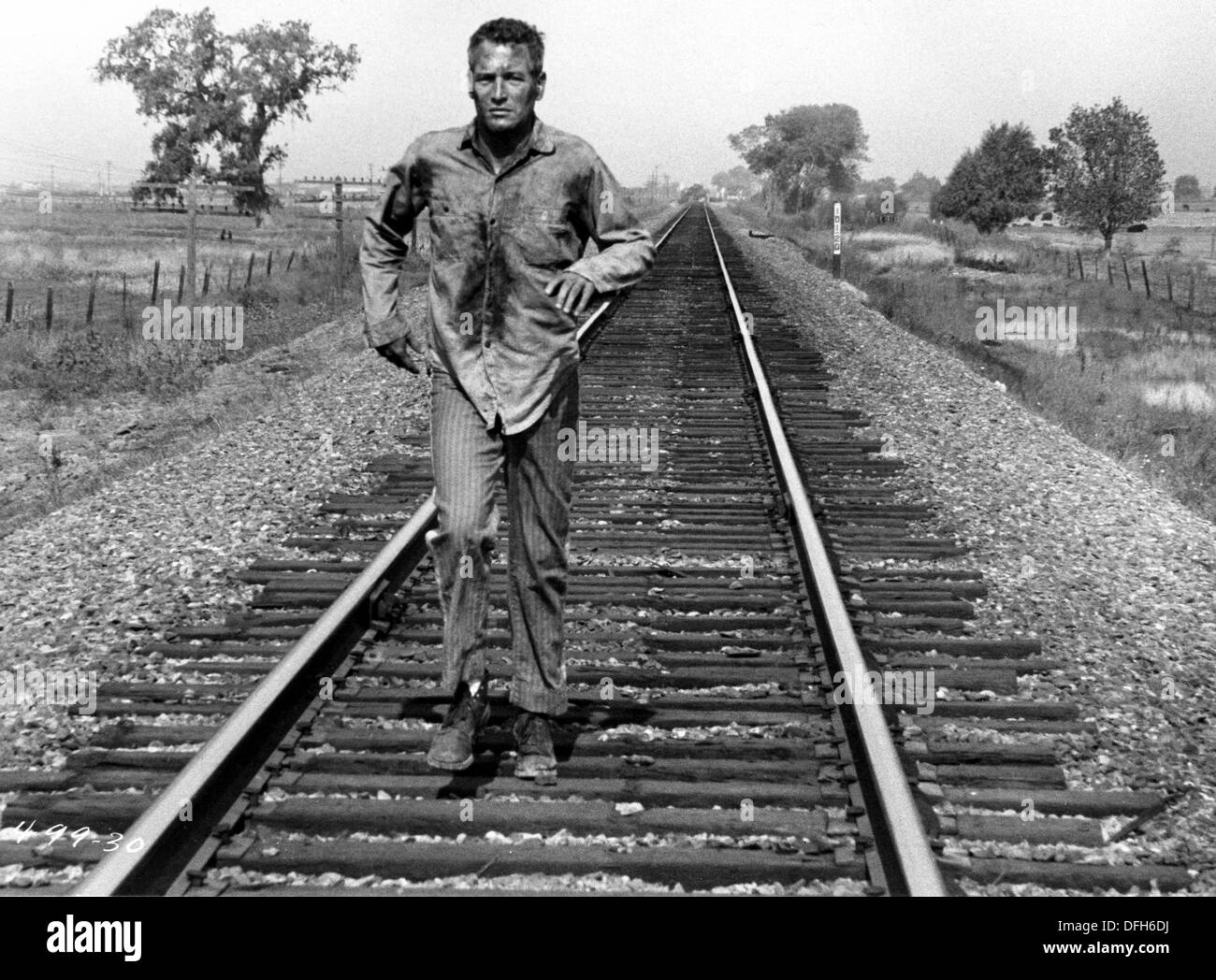 Paul Newman on-set of the Film, Cool Hand Luke, 1967 Stock Photo - Alamy