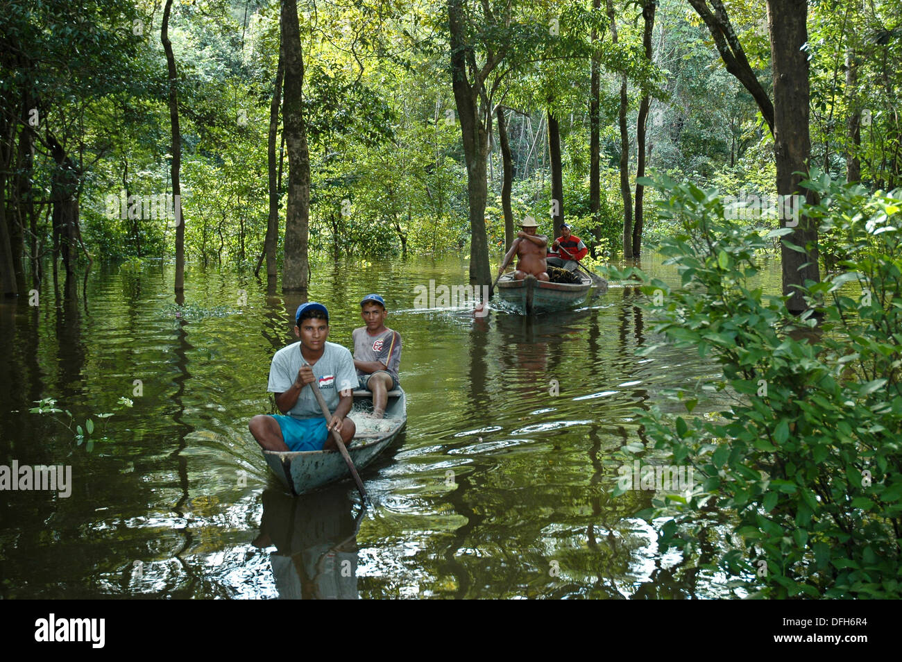 Daily life in rain forest hi-res stock photography and images - Alamy