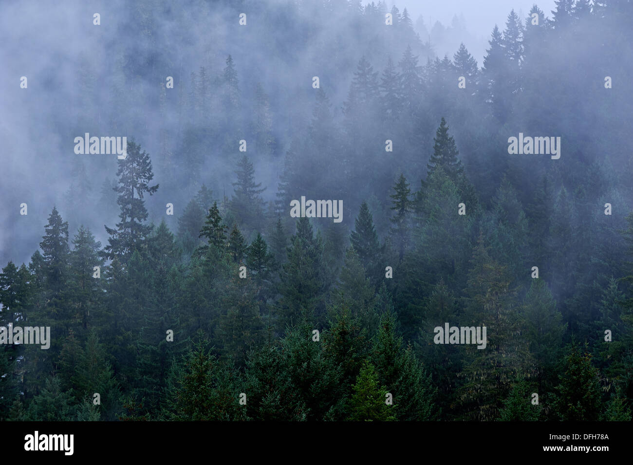 Morning mist over Cascades Stock Photo - Alamy