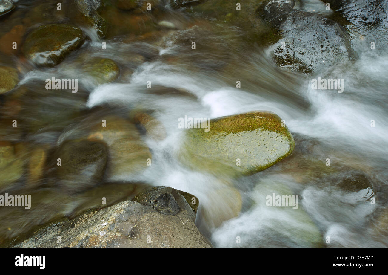 Row river bed Stock Photo - Alamy