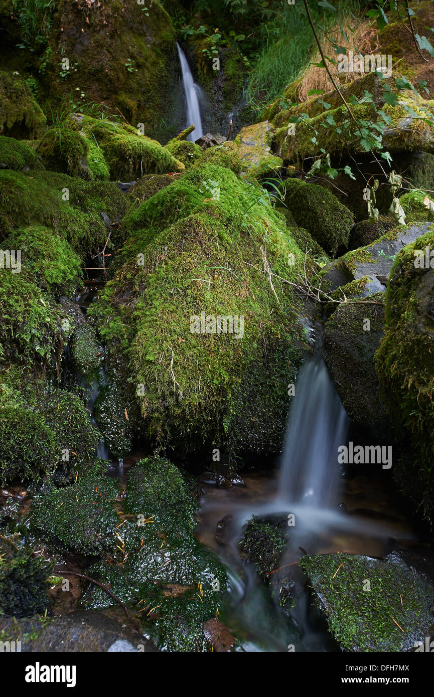 tiny spring on the Row river shore Stock Photo - Alamy