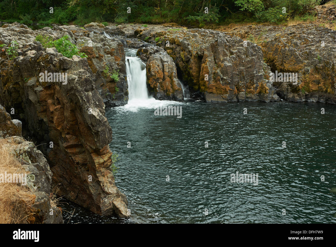 Wildwood falls,Row river Stock Photo - Alamy