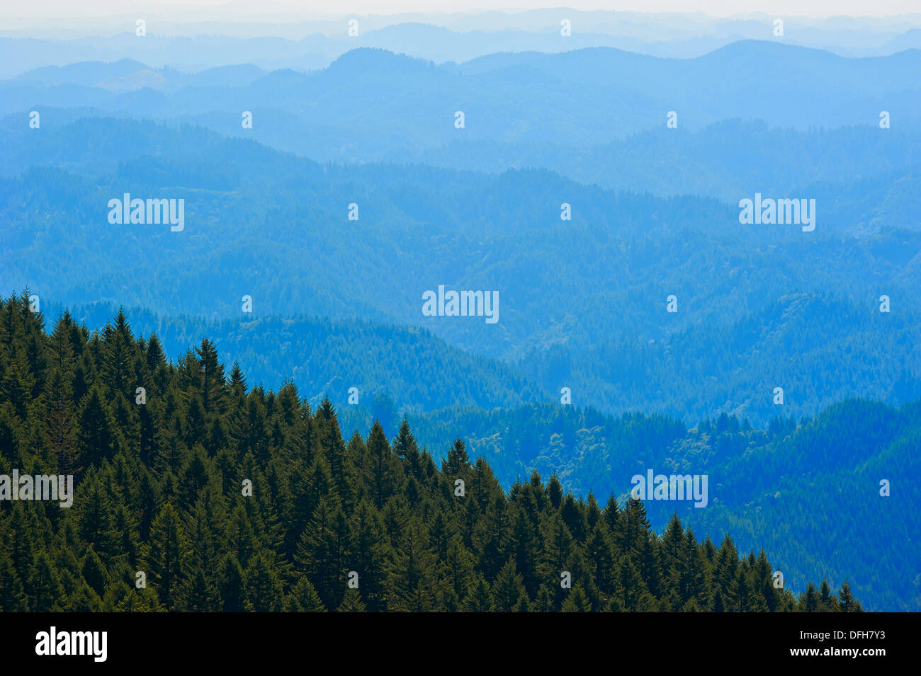 The Oregon Coast Range Stock Photo - Alamy