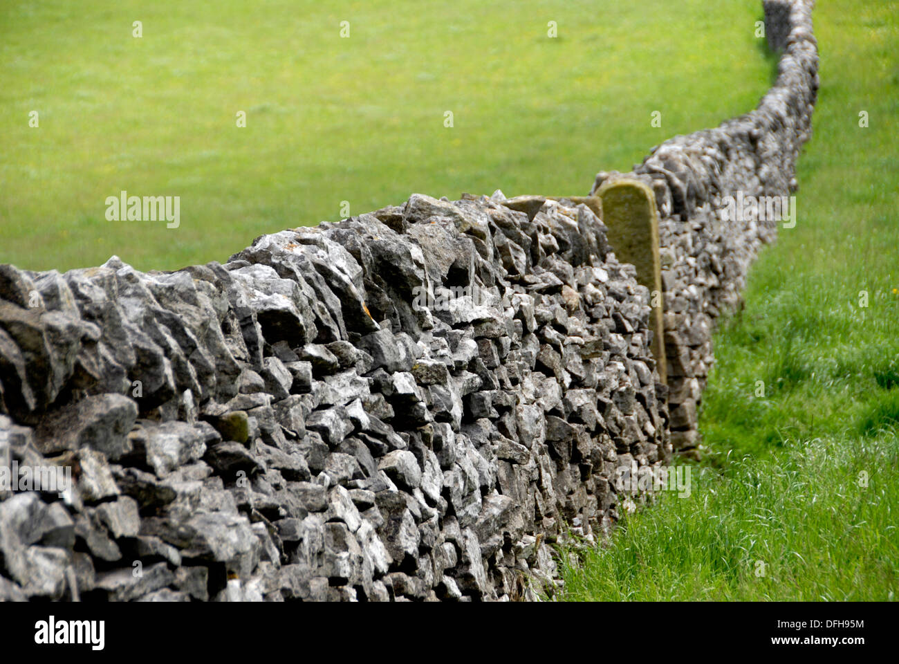 Dry Stone wall dividing fields on Pennine Way in Yorkshire UK Stock ...