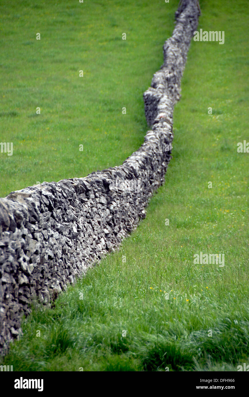 Dry Stone wall dividing fields on Pennine Way in Yorkshire UK Stock ...