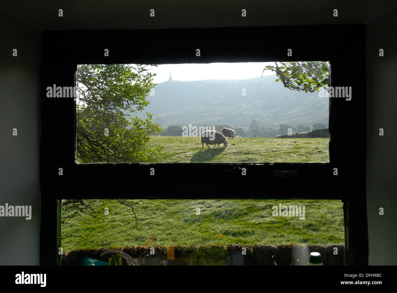 View through a window hi-res stock photography and images - Alamy