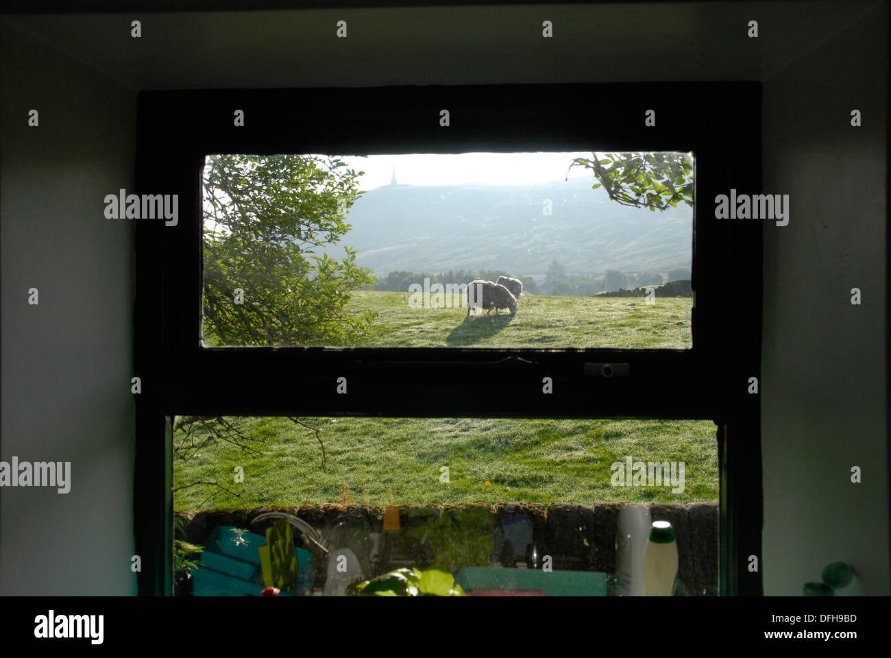 View through a window hi-res stock photography and images - Alamy