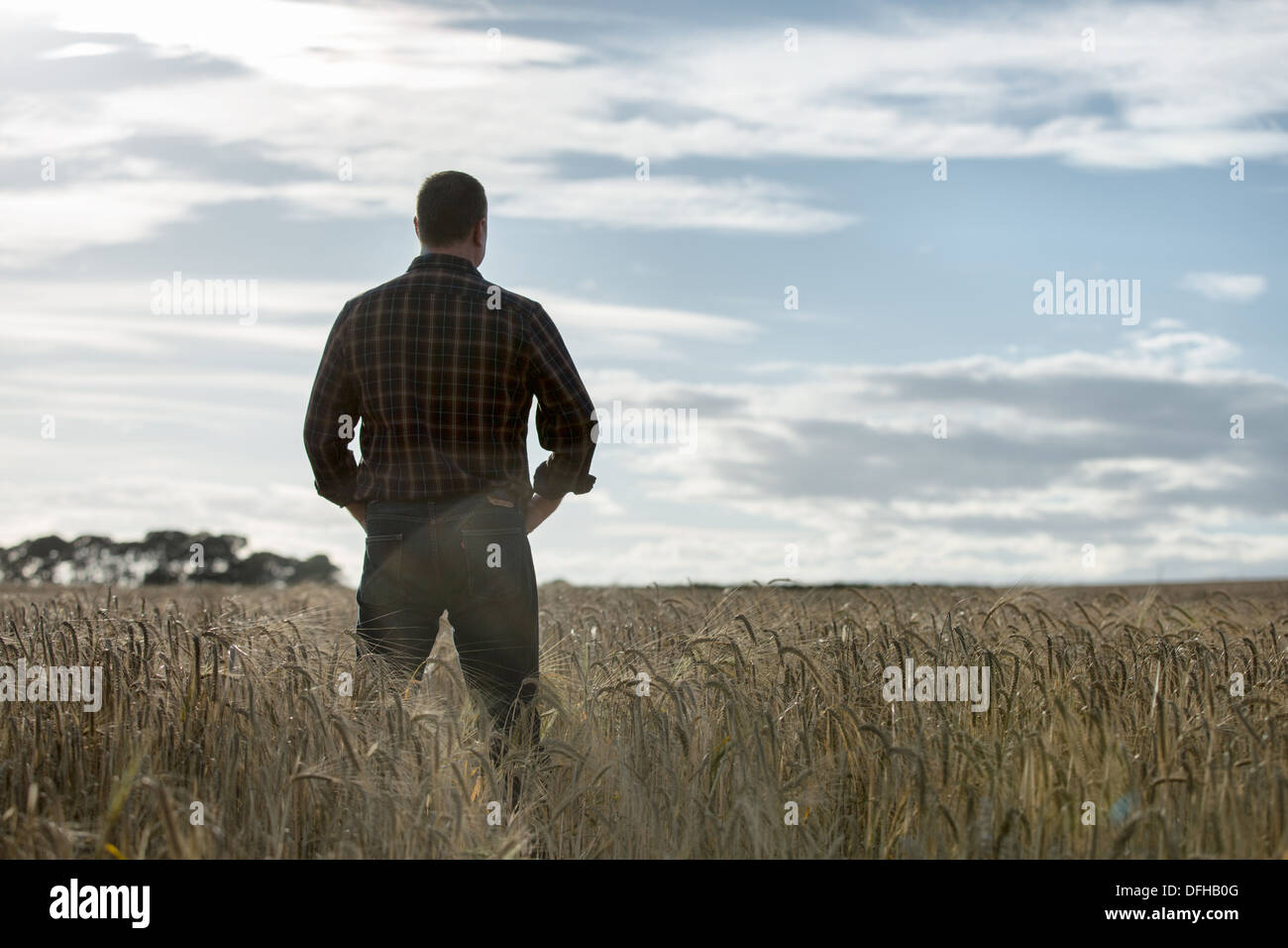 Man in rural field looking into distance Stock Photo - Alamy