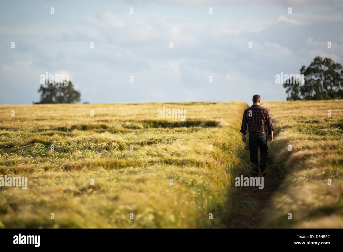 Man in the field hi-res stock photography and images - Alamy