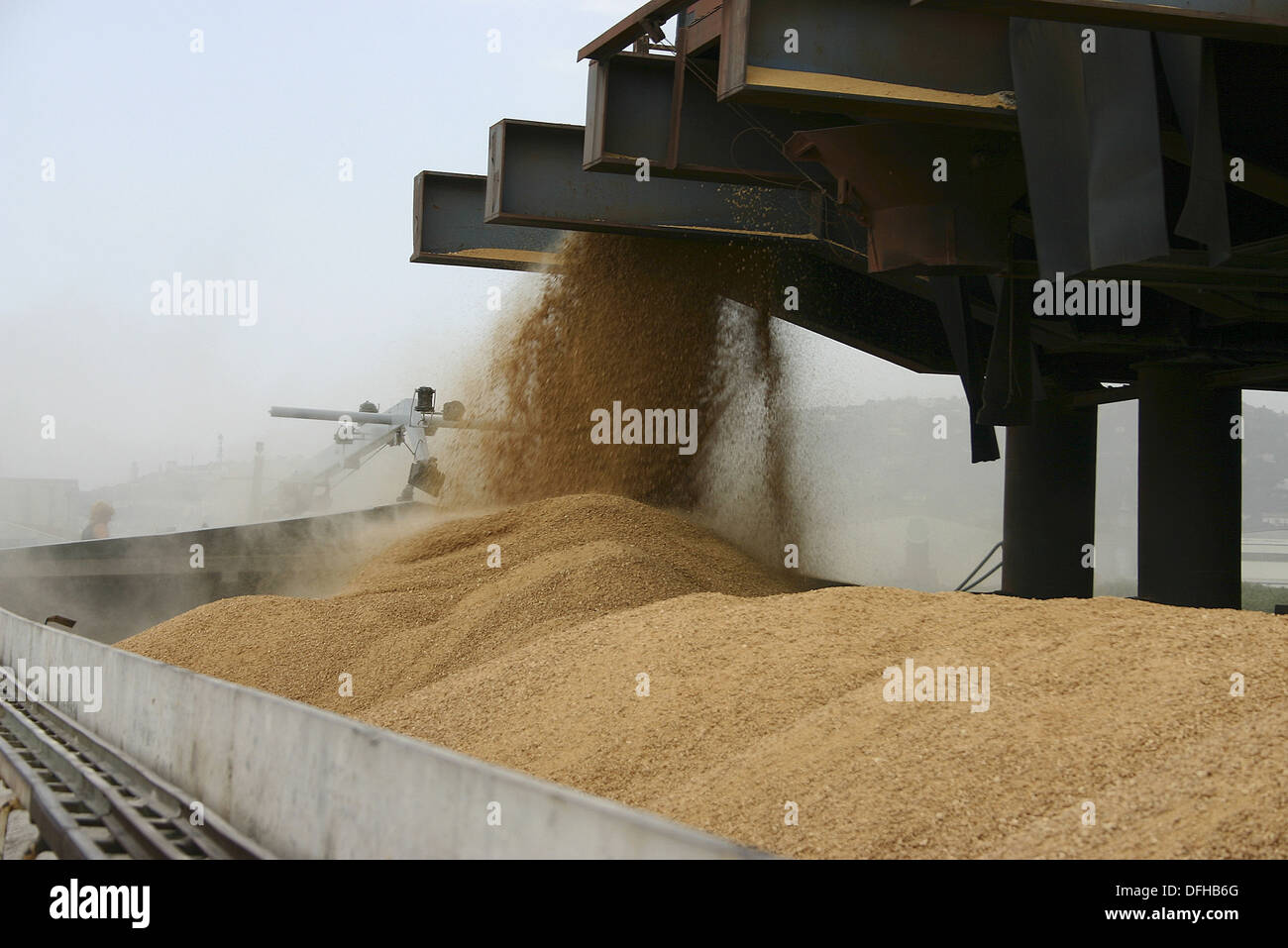 Load animal boat hi-res stock photography and images - Alamy