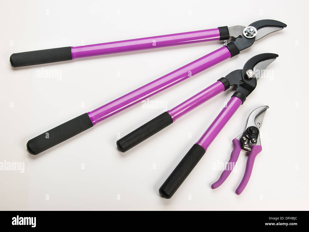 Various size cutters for trimming tree branches Stock Photo - Alamy