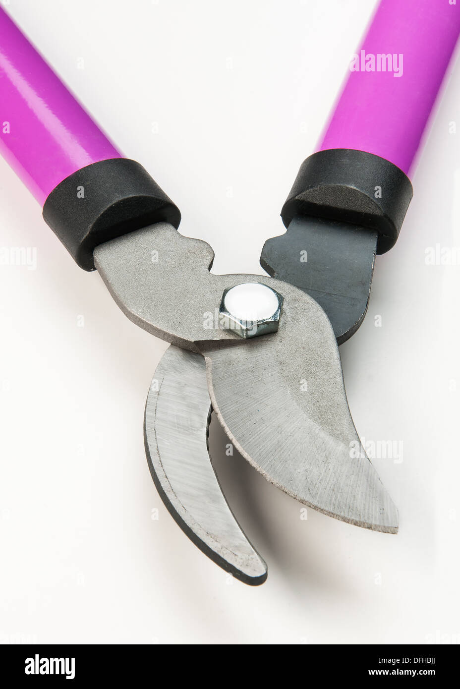 Tree cutters pruning trees hi-res stock photography and images - Alamy