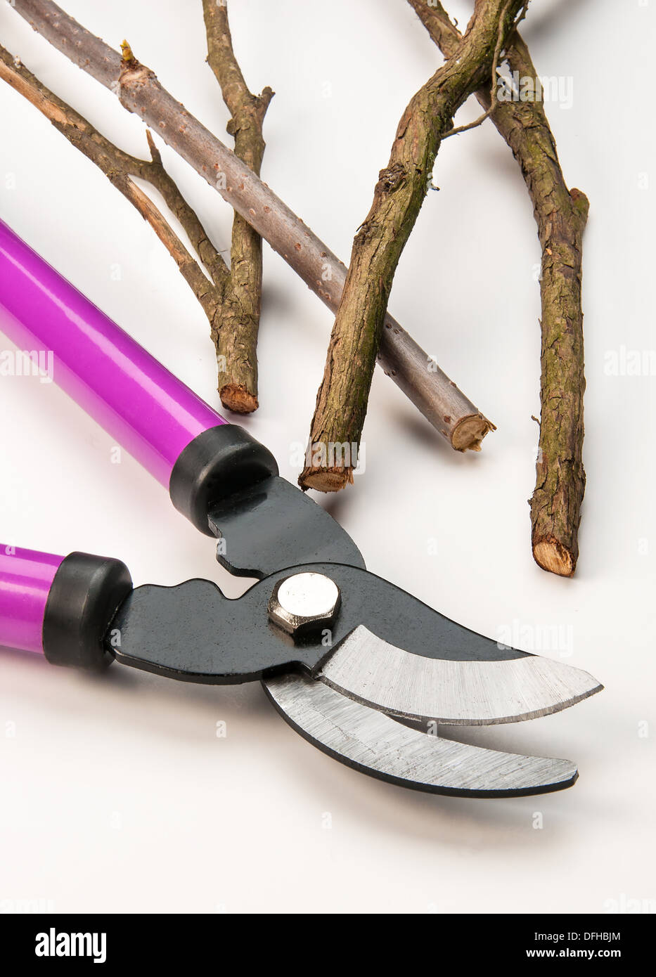 Various size cutters for trimming tree branches Stock Photo - Alamy