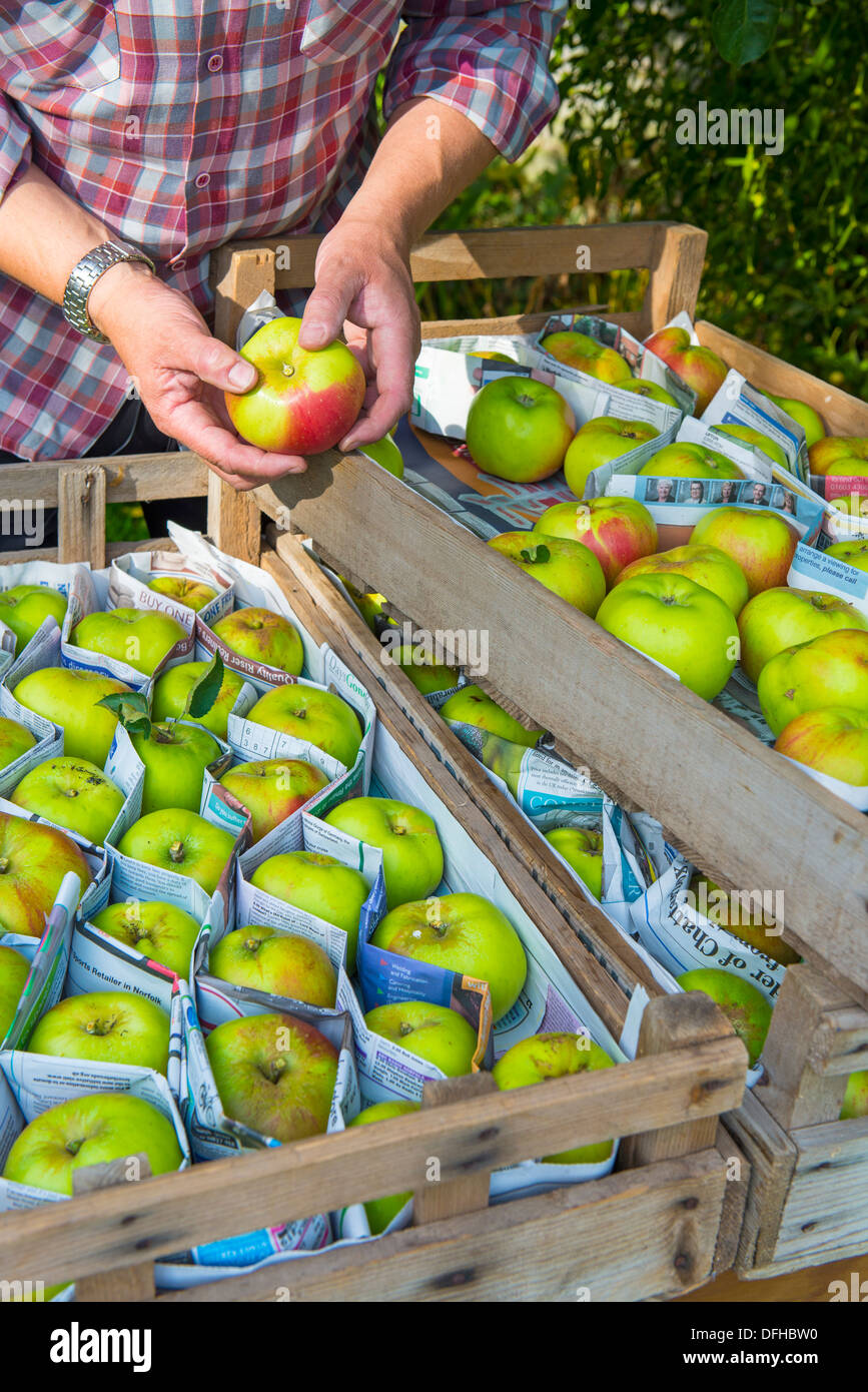 Storing apples hi-res stock photography and images - Alamy