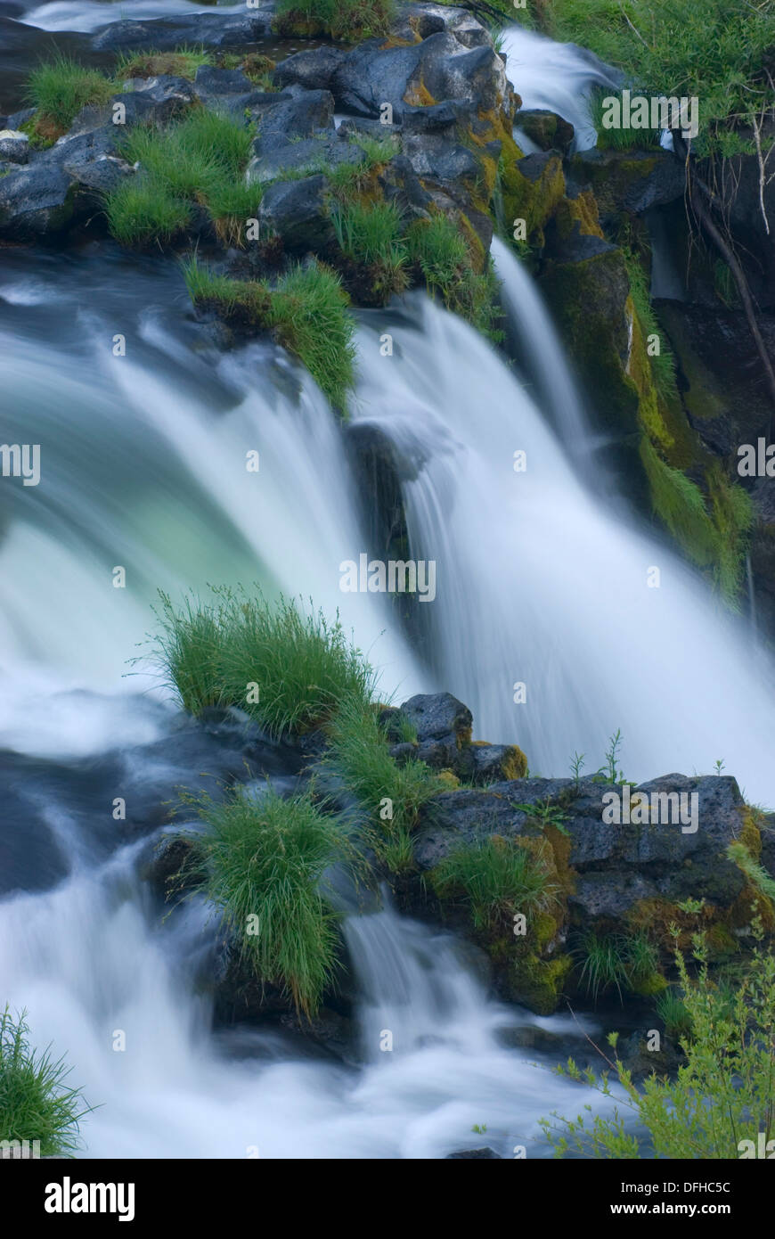 Steelhead trail hi-res stock photography and images - Alamy