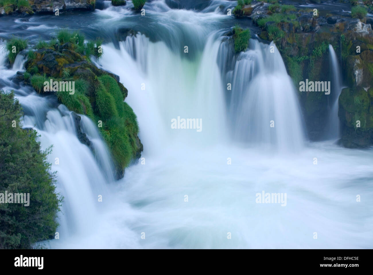 Steelhead trail hi-res stock photography and images - Alamy