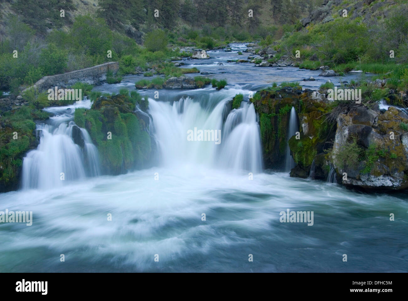 Steelhead trail hi-res stock photography and images - Alamy