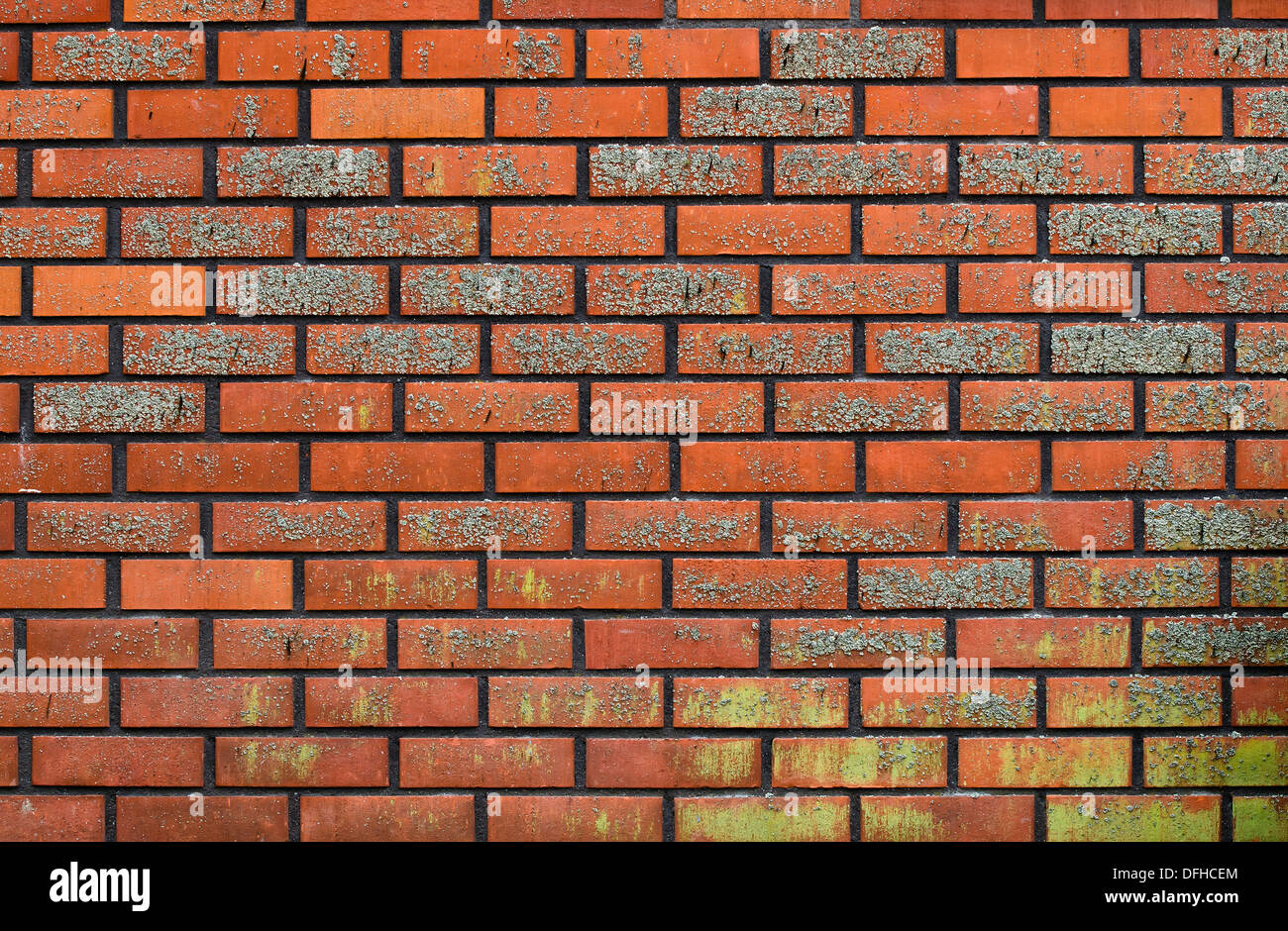 Red brick wall with moss textures for background Stock Photo - Alamy