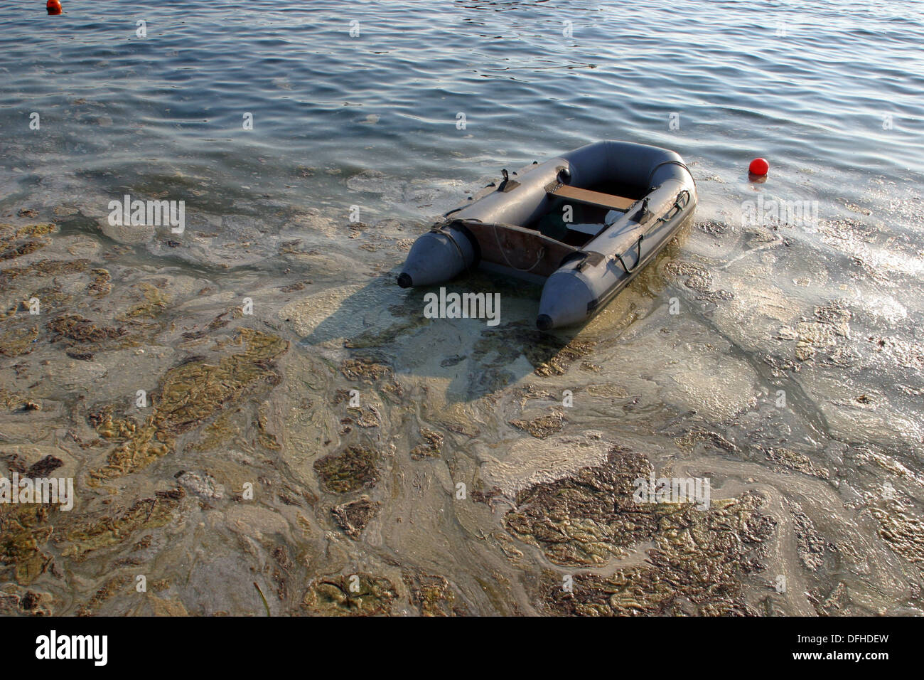 Contaminated aquatic environment hi-res stock photography and images ...
