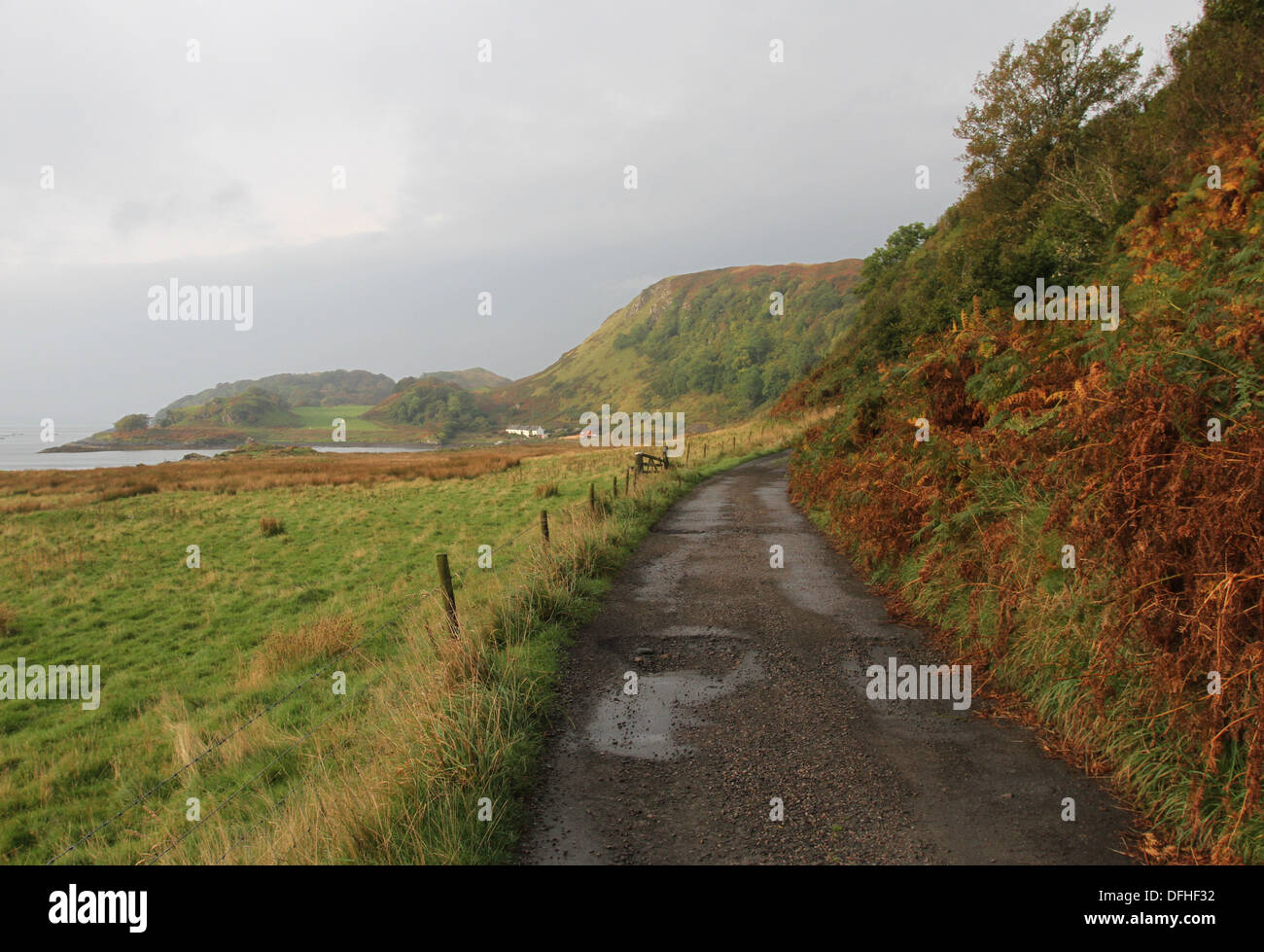 Little horse trail hi-res stock photography and images - Alamy