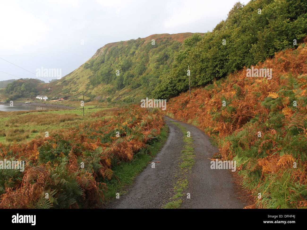 track to the Little Horse Shoe Bay Isle of Kerrera Scotland October ...