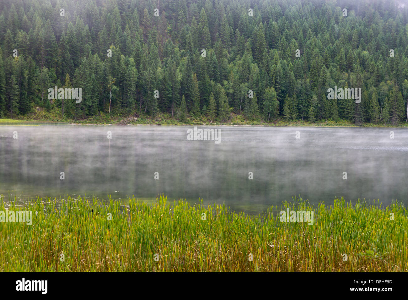 scenic Wells Gray Provincial Park B.C. Canada Stock Photo - Alamy
