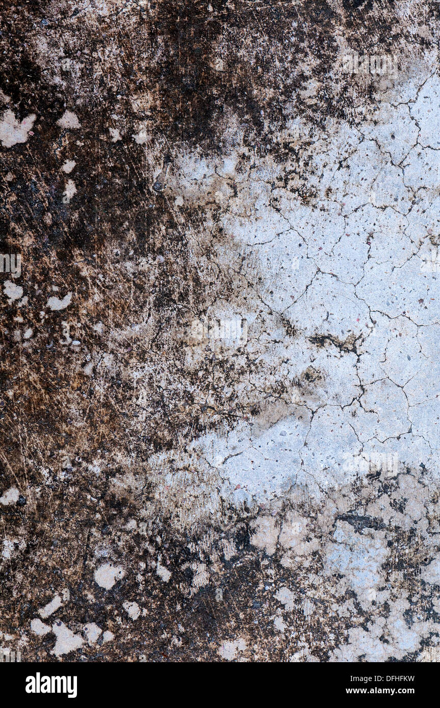 Dirt Background with die moss Stock Photo - Alamy