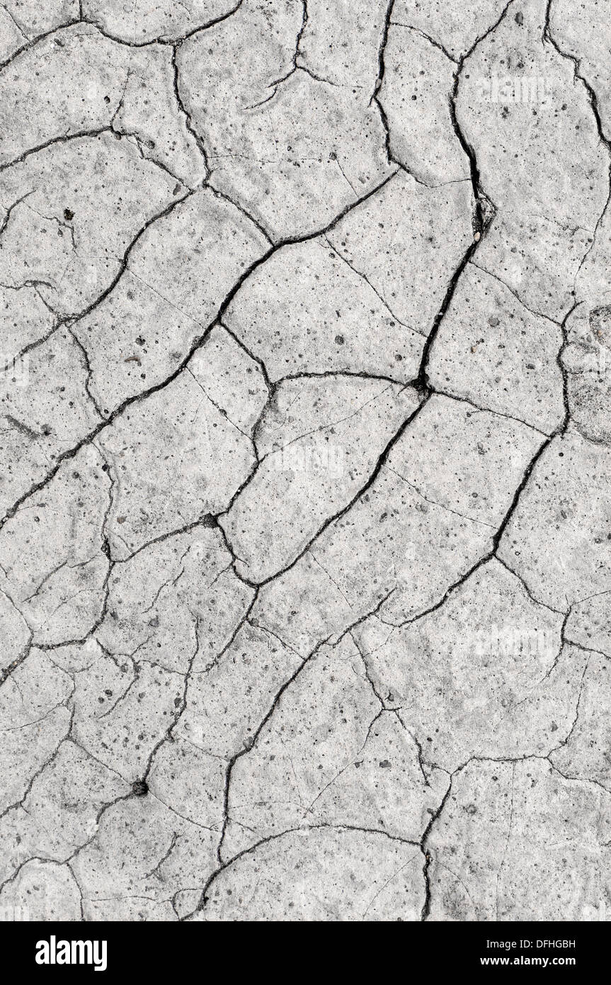 Dirt Background with die moss Stock Photo - Alamy