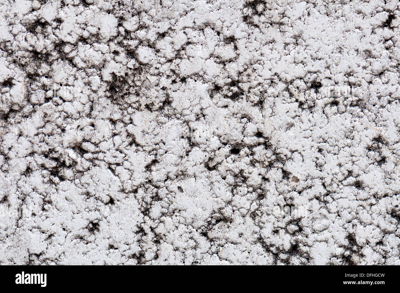 Dirt Background with die moss Stock Photo - Alamy