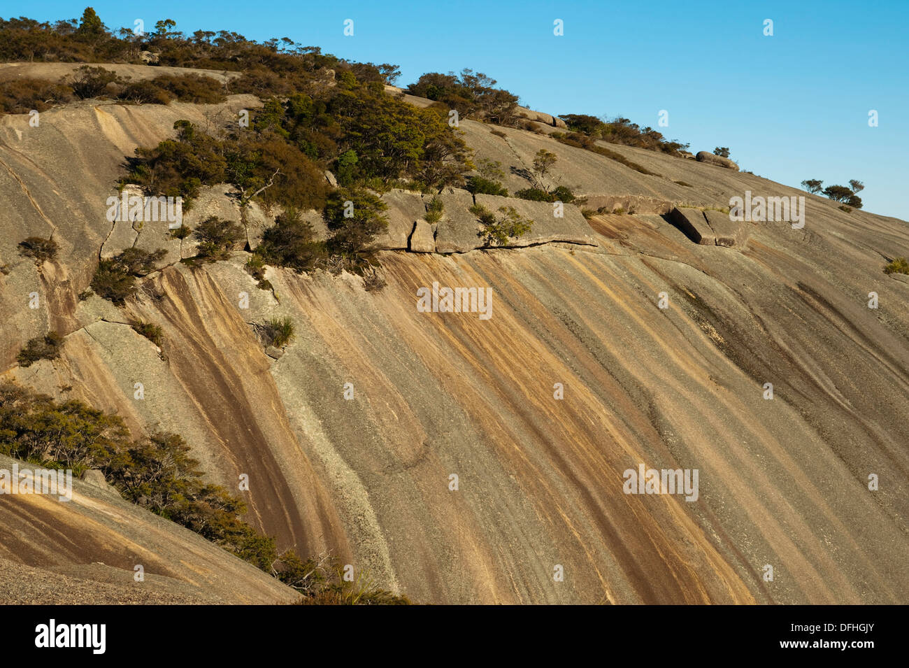 Tenterfield Australia Stock Photos & Tenterfield Australia Stock Images ...