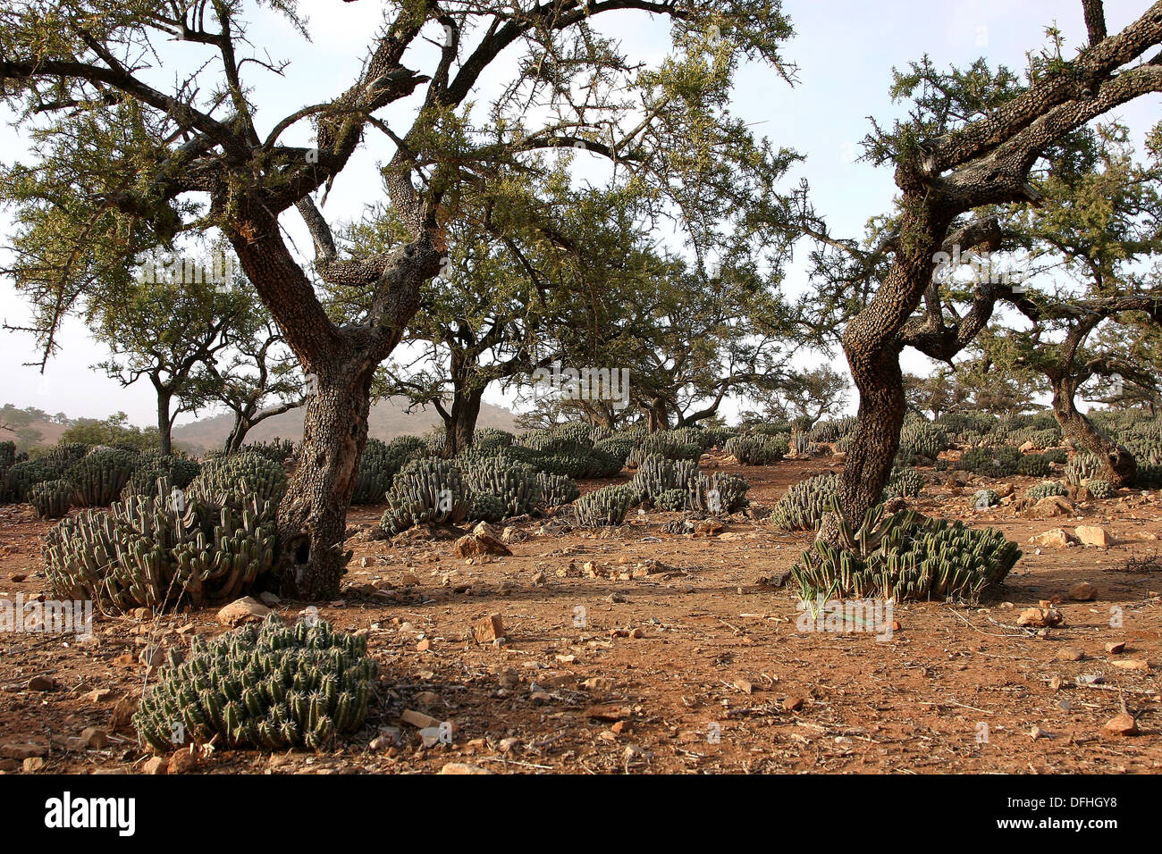 Semidesert hi-res stock photography and images - Alamy