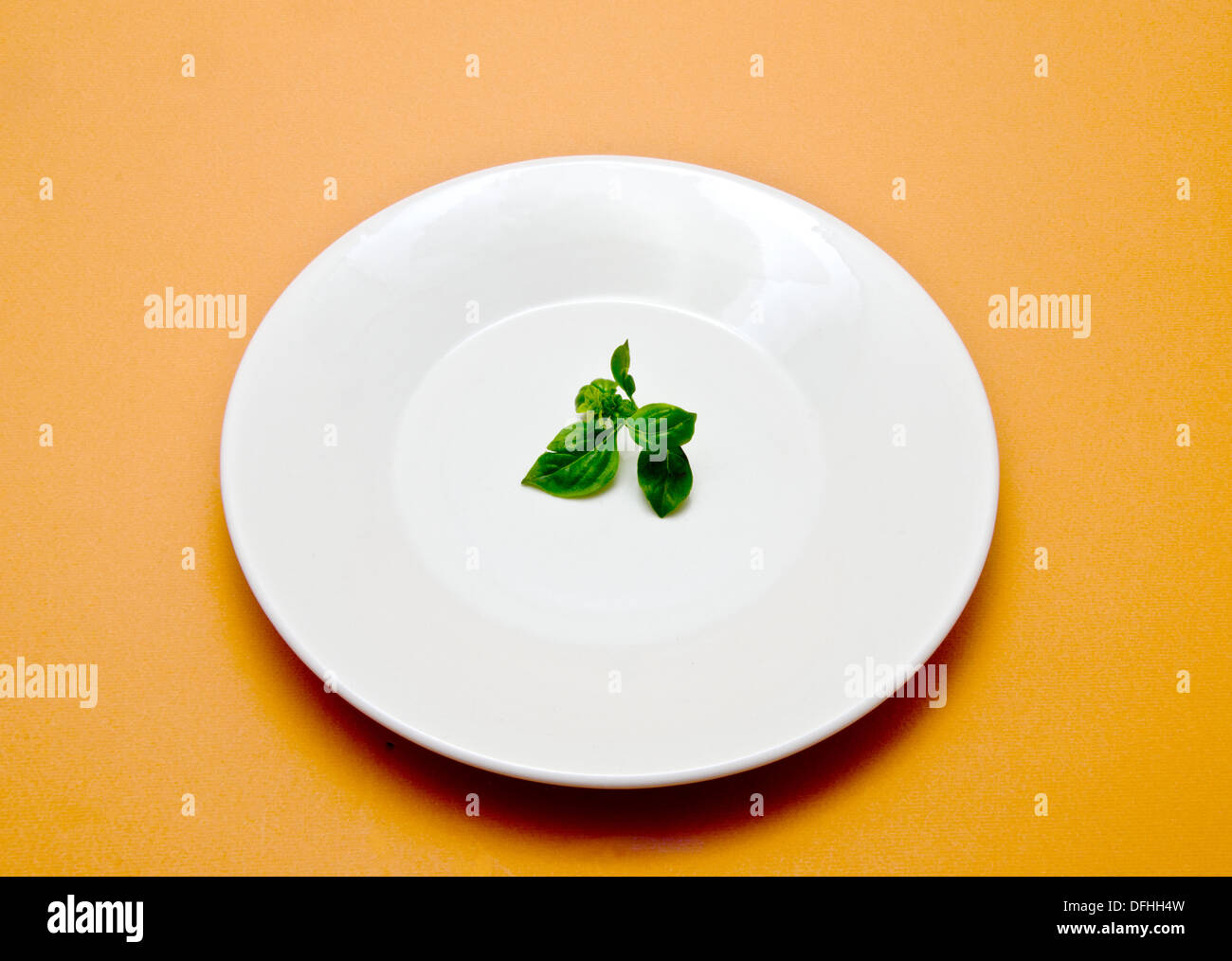 Basil twig hi-res stock photography and images - Alamy