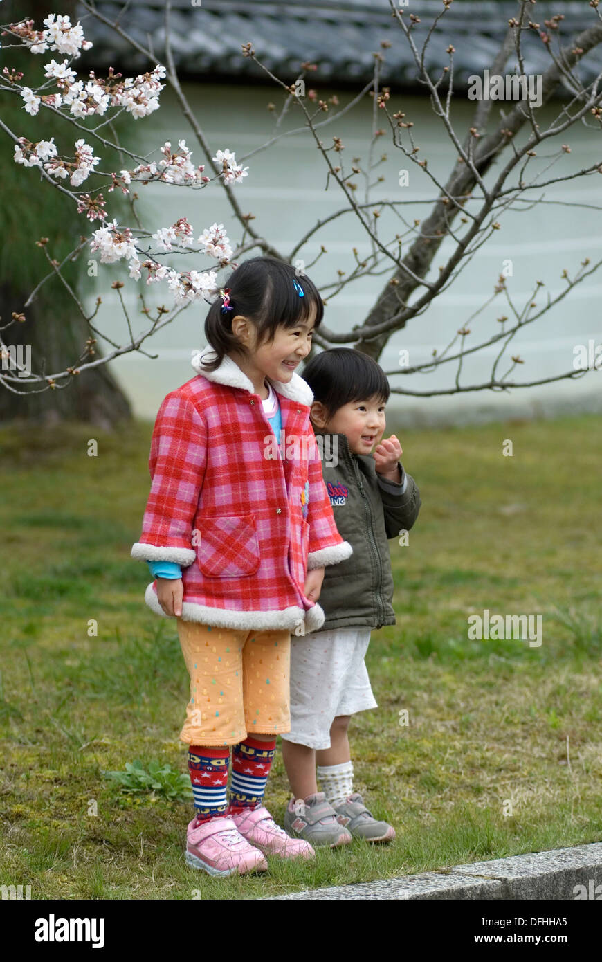 Japan family children cherry blossom hi-res stock photography and ...