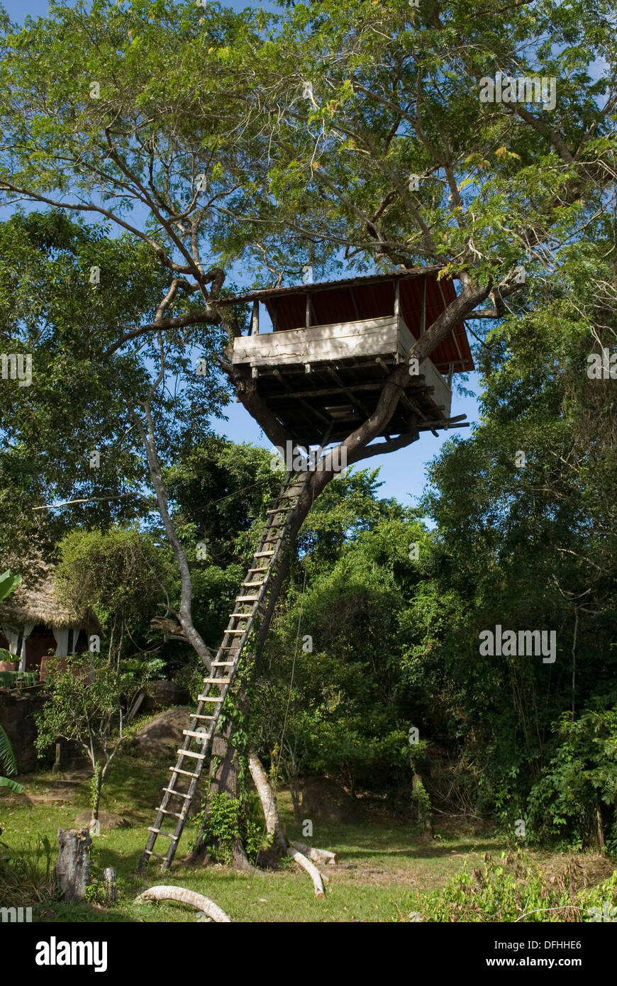 Tree House Of Bagobo Tribe