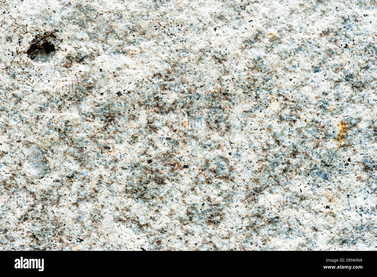 Dirt Background with die moss Stock Photo - Alamy