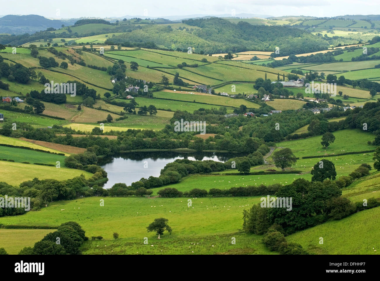 Boccage hi-res stock photography and images - Alamy