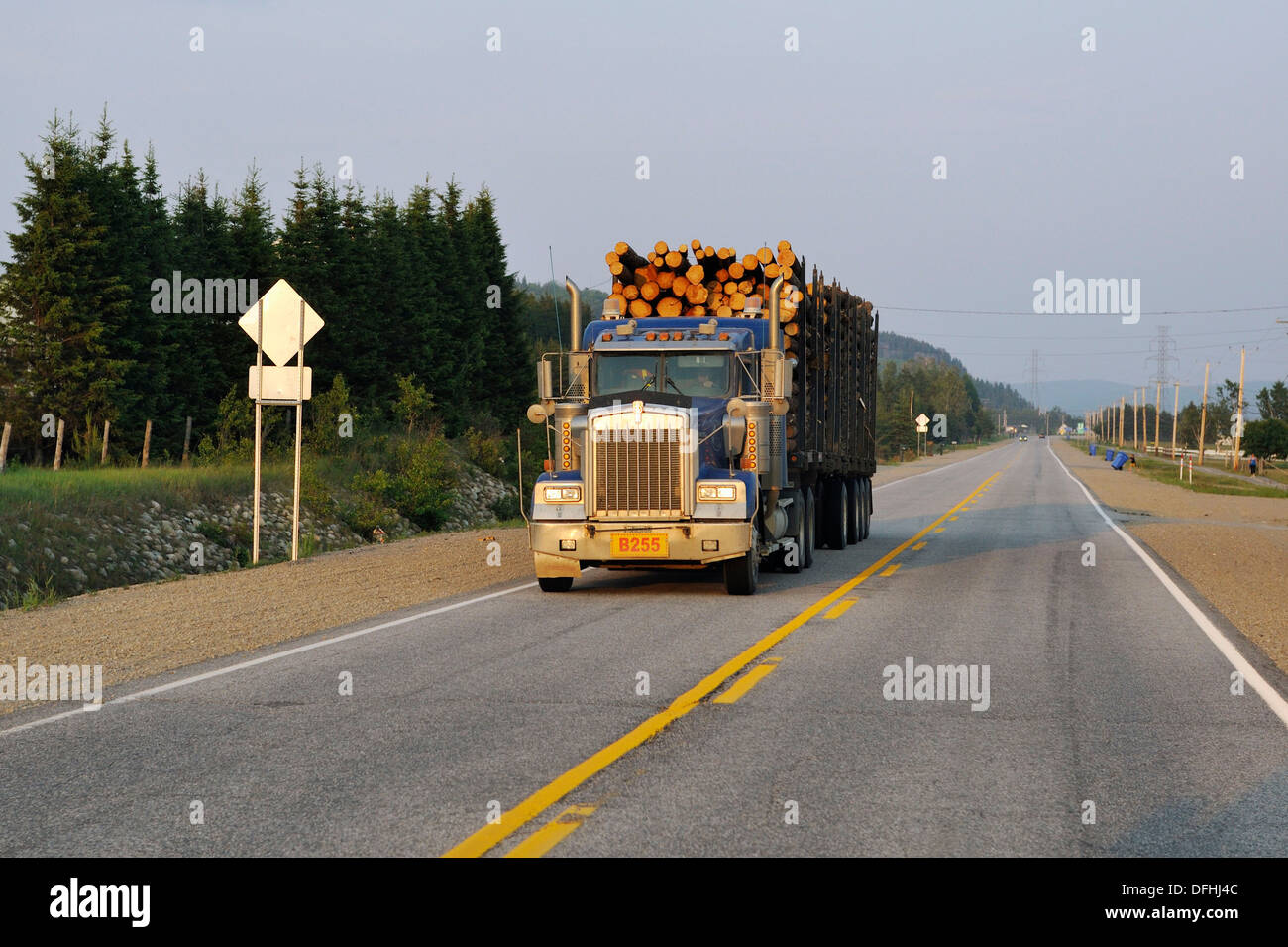 Truck of tree hi-res stock photography and images - Alamy
