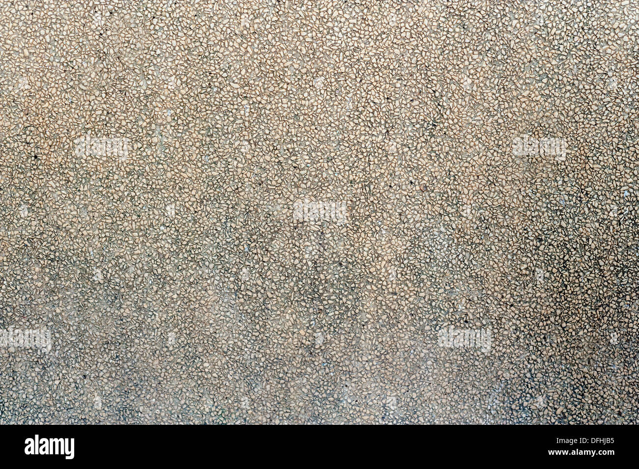 Dirt Background with die moss Stock Photo - Alamy