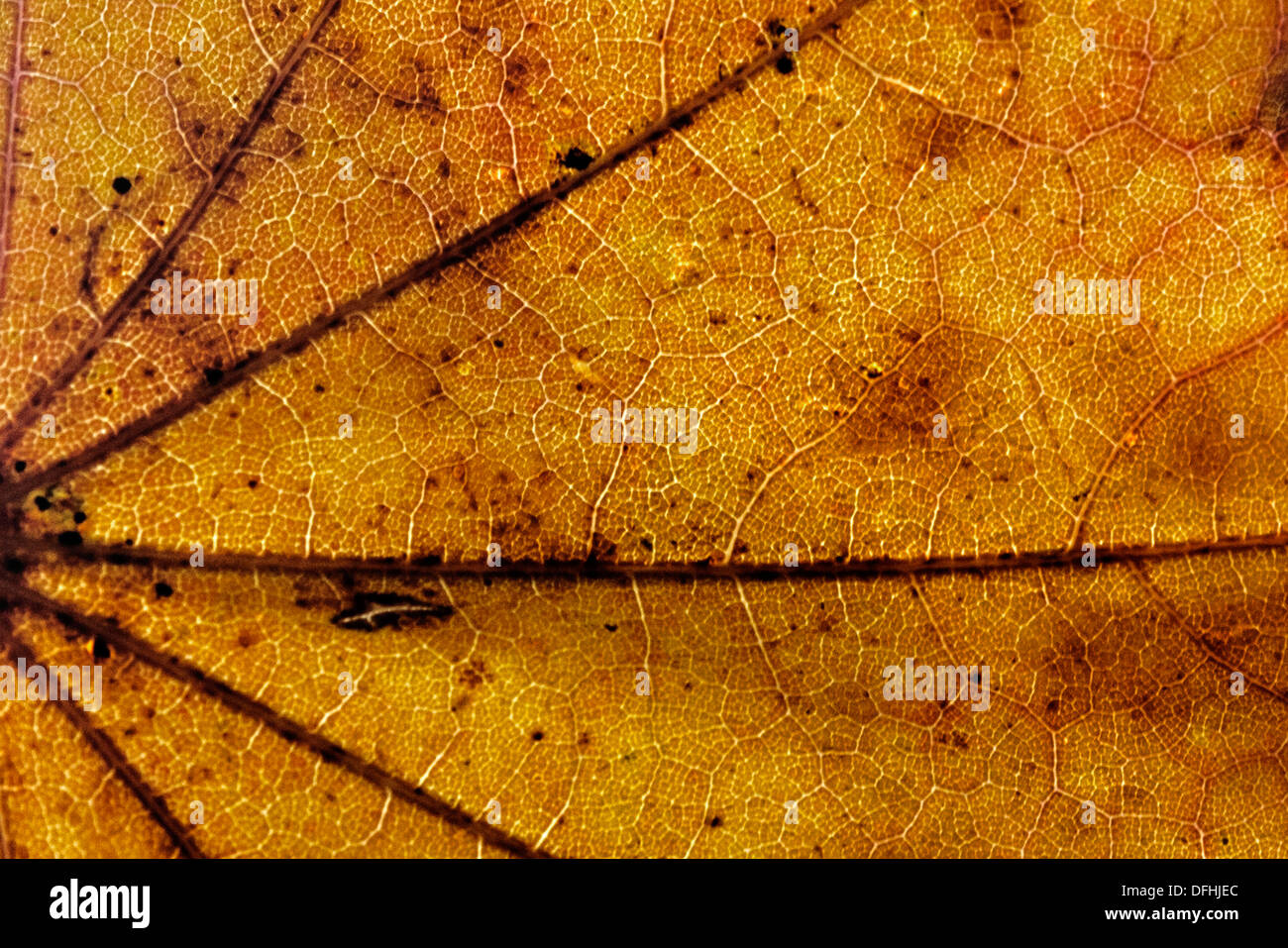 Rusty texture curve hi-res stock photography and images - Alamy