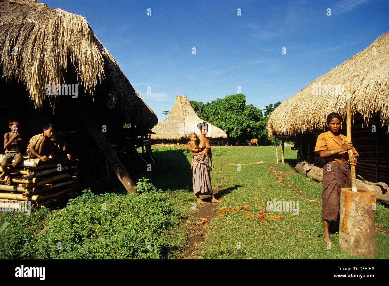 Sumba lesser sunda islands hi-res stock photography and images - Alamy
