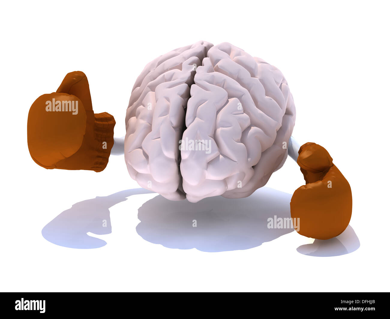 Boxing brain Cut Out Stock Images & Pictures - Alamy