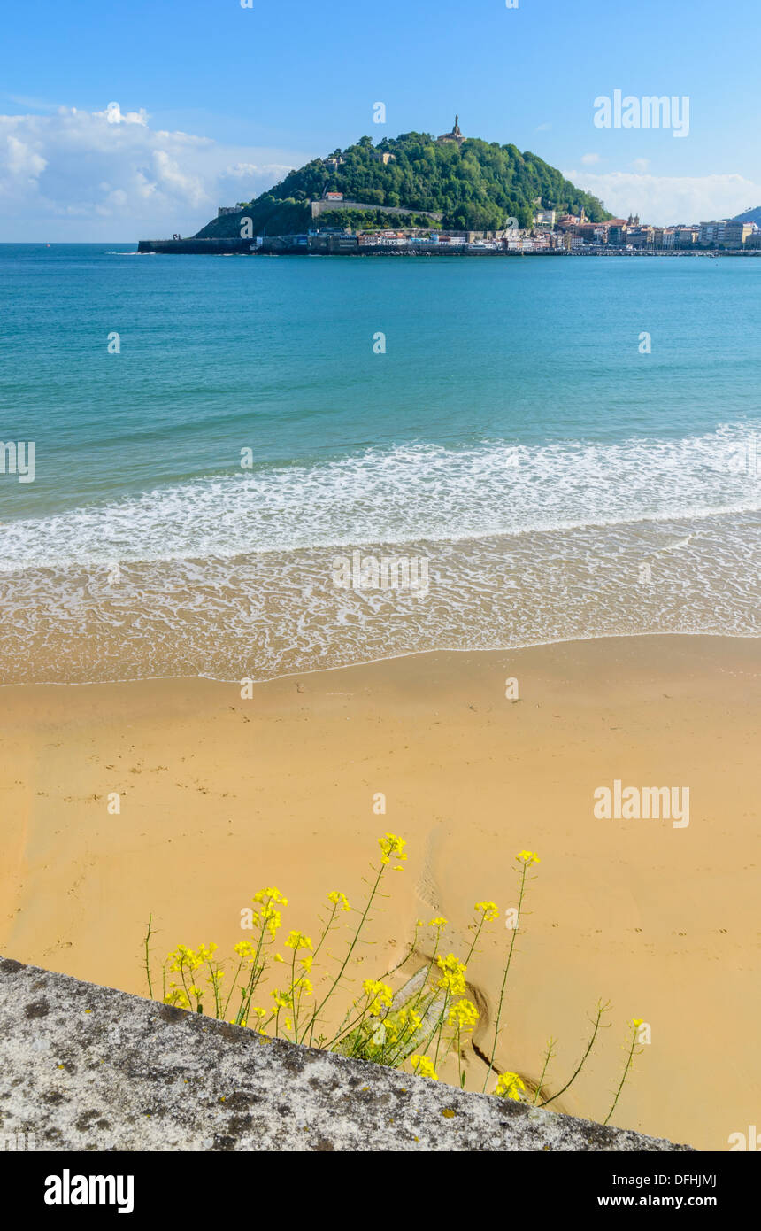 Spring flowers above Playa de la Concha with views towards Monte Urgull ...