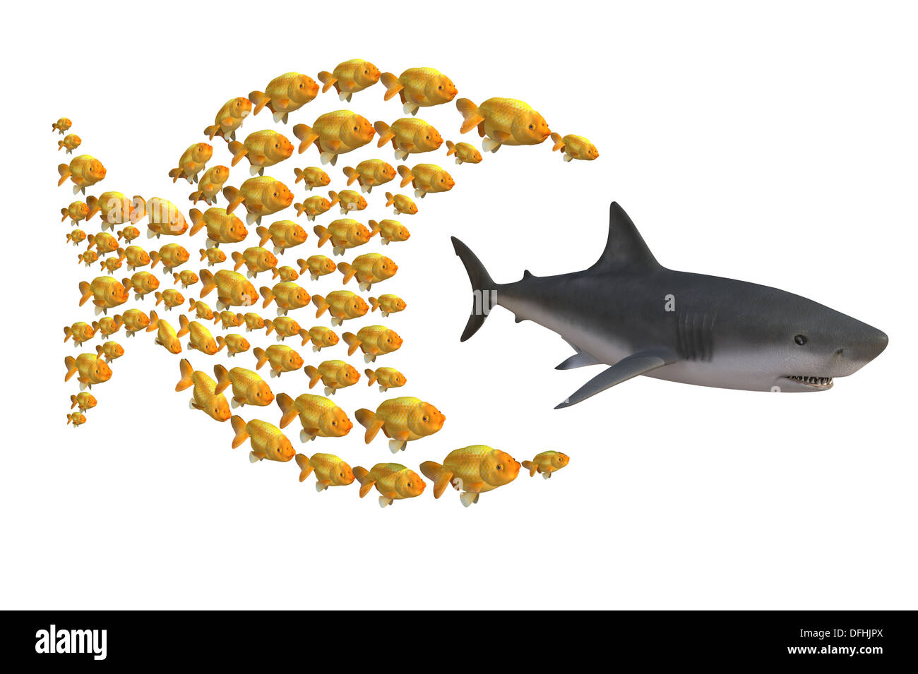 fish group chasing shark, concept unity is strength, 3d illustration ...